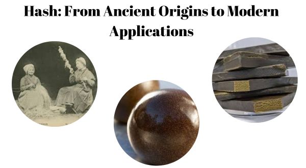 Unveiling the Rich History of Hash: From Ancient Origins to Modern ...